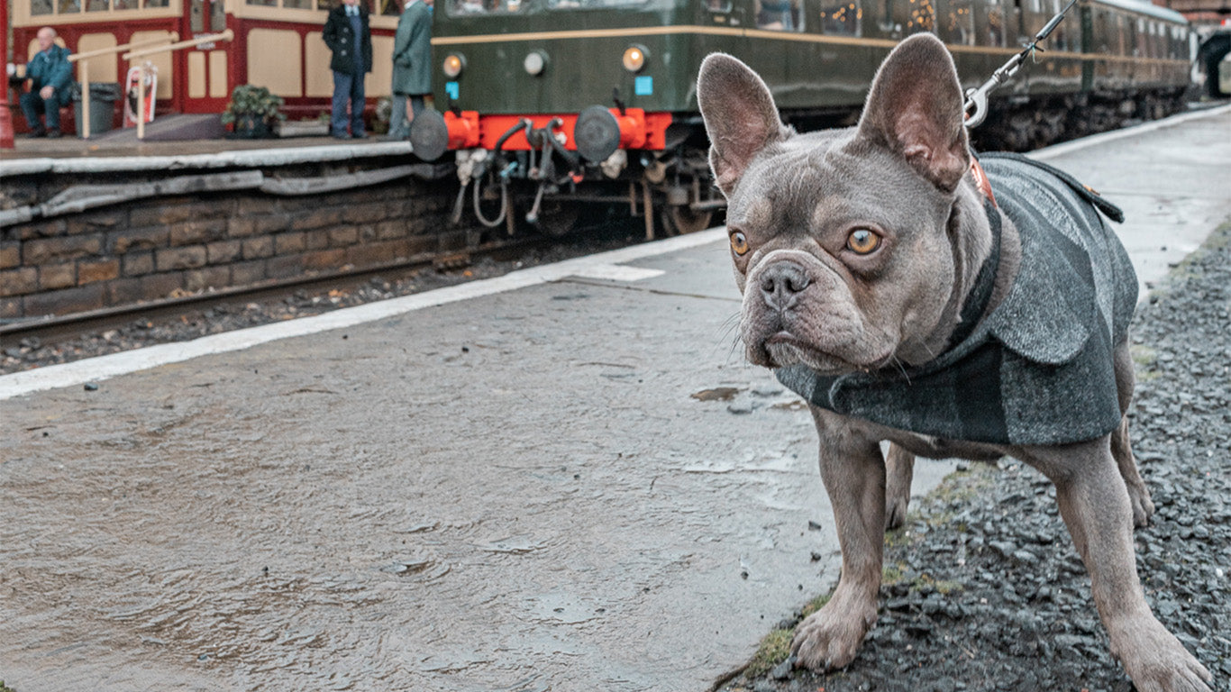 Hare & Loom – Hare & Loom